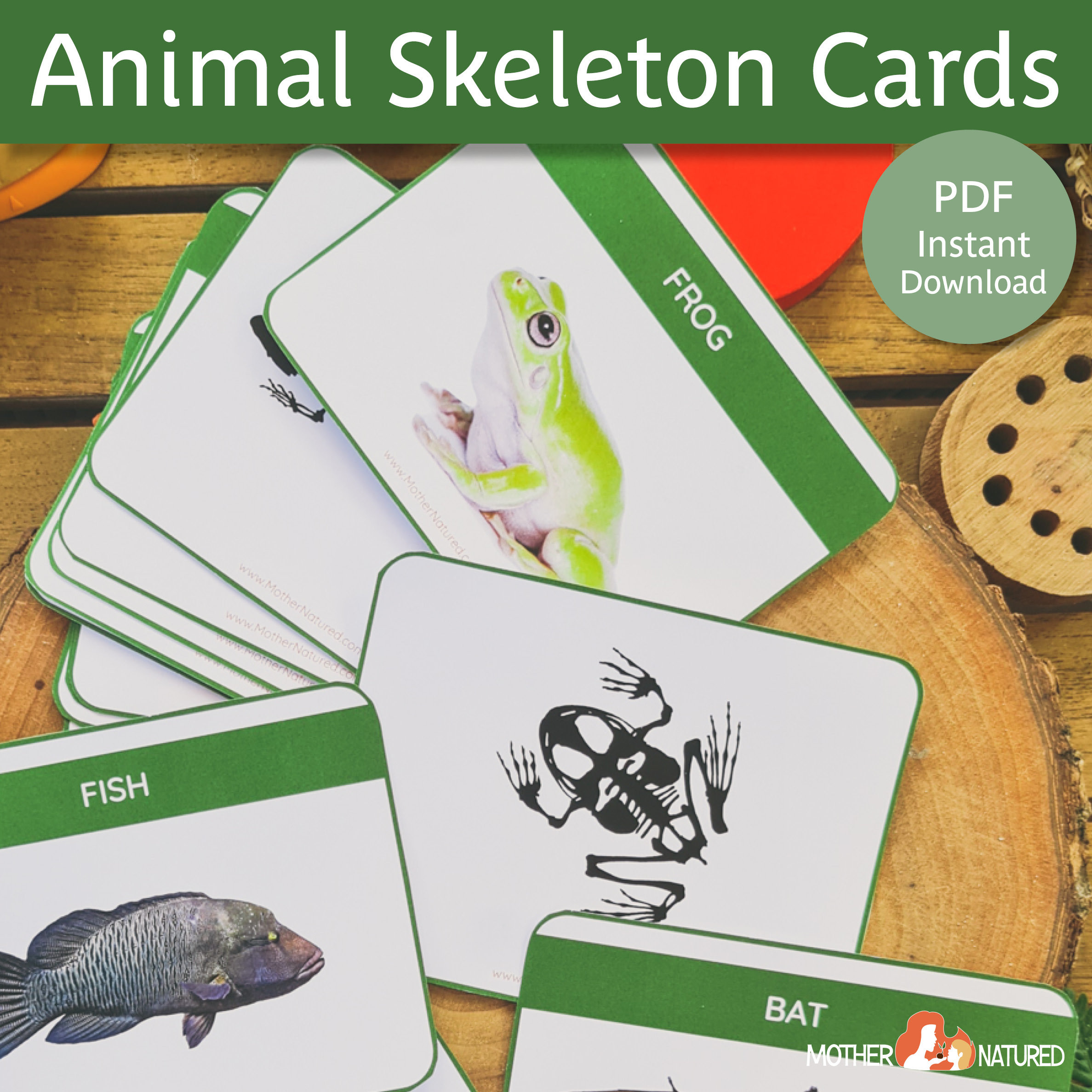 ANIMAL SKELETON MATCHING Cards for Kids | Skeleton Printable for Kids ...