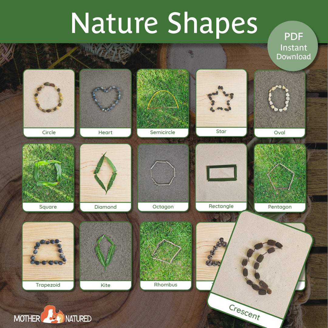 Nature Shapes Loose Parts | Nature Shapes Preschool | Nature Shapes ...