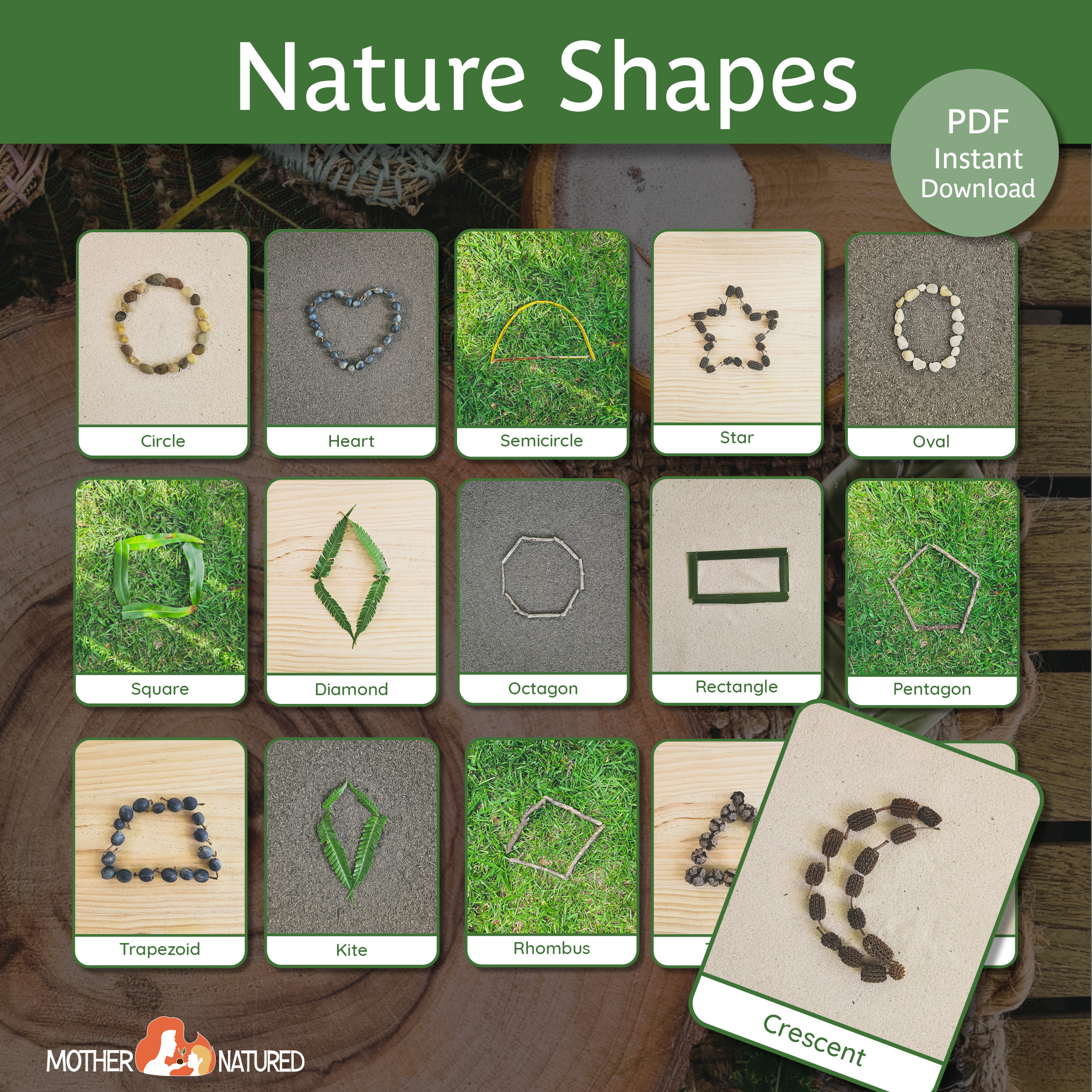 Octagon Shapes In Nature
