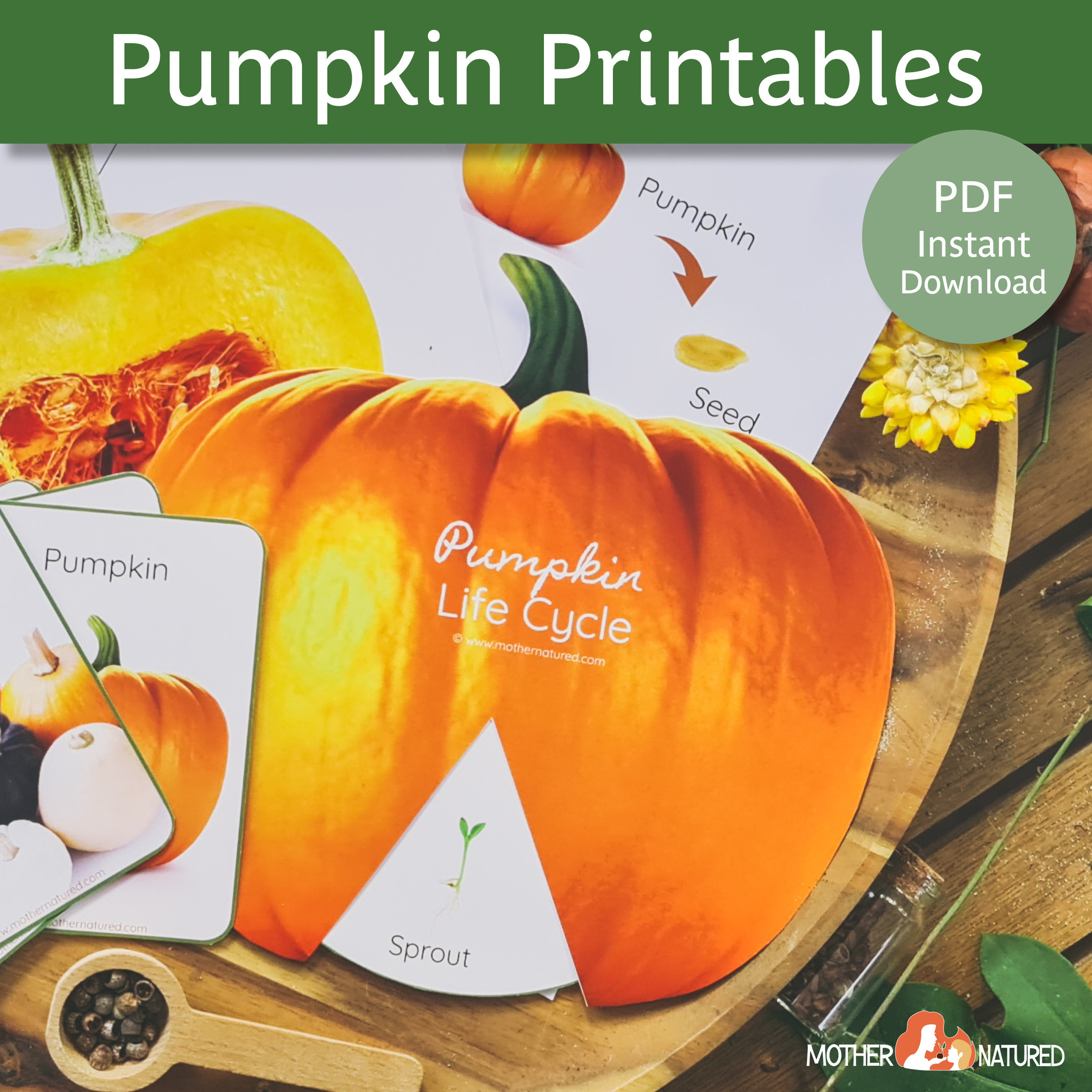 Pumpkin Printable Pumpkin Activities for Kids Pumpkin Life Cycle ...