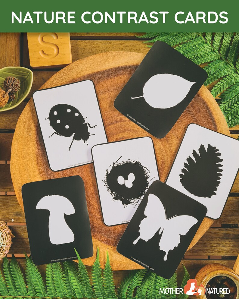 High Contrast Black and White Cards for Babies Nature Cards for Baby ...