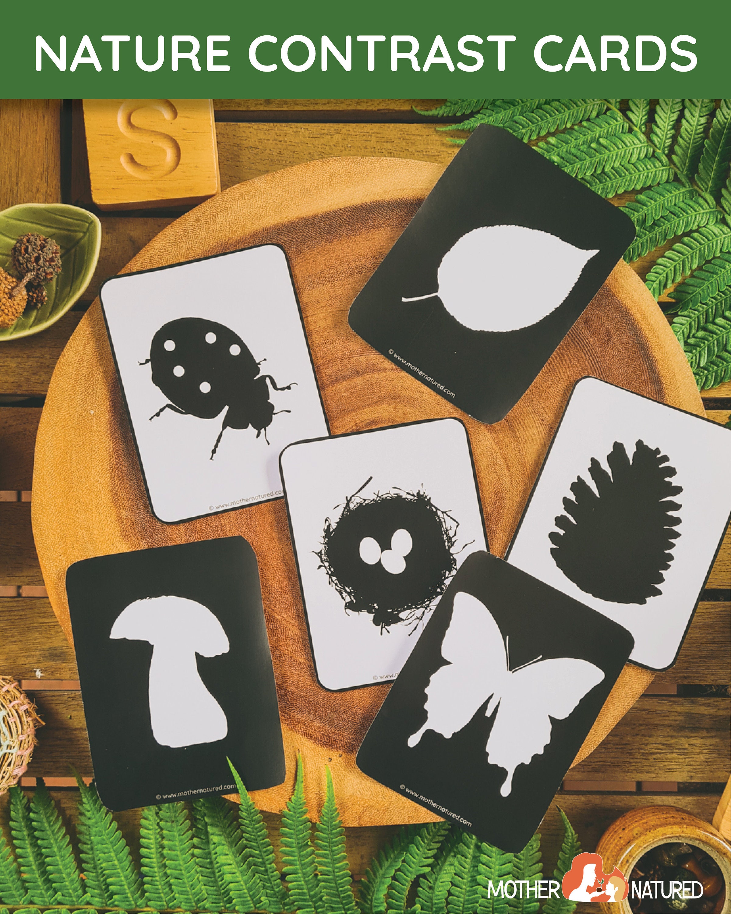 High Contrast Black and White Cards for Babies Nature Cards for Baby ...