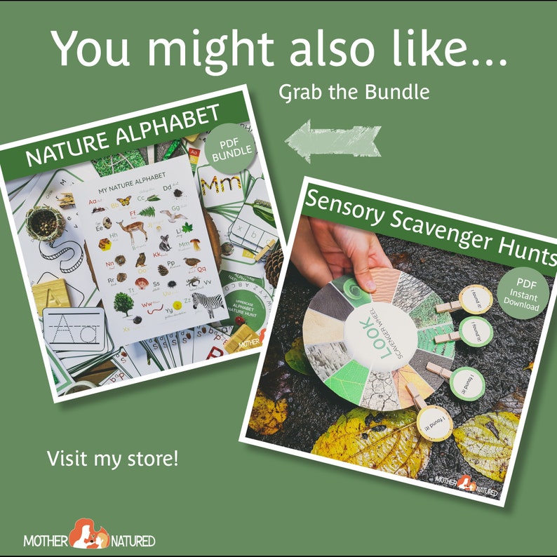 Nature ALPHABET Cards Printable | Nature Alphabet Poster | Nature ...