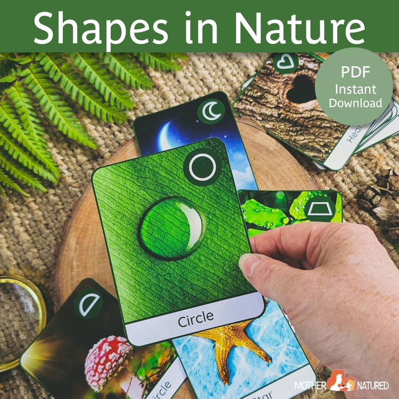 Nature Shapes Poster and Cards | Nature Shapes Preschool | Nature ...