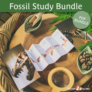 FOSSIL Printables for Kids | Fossil Bundle | Dinosaur Digital Download ...