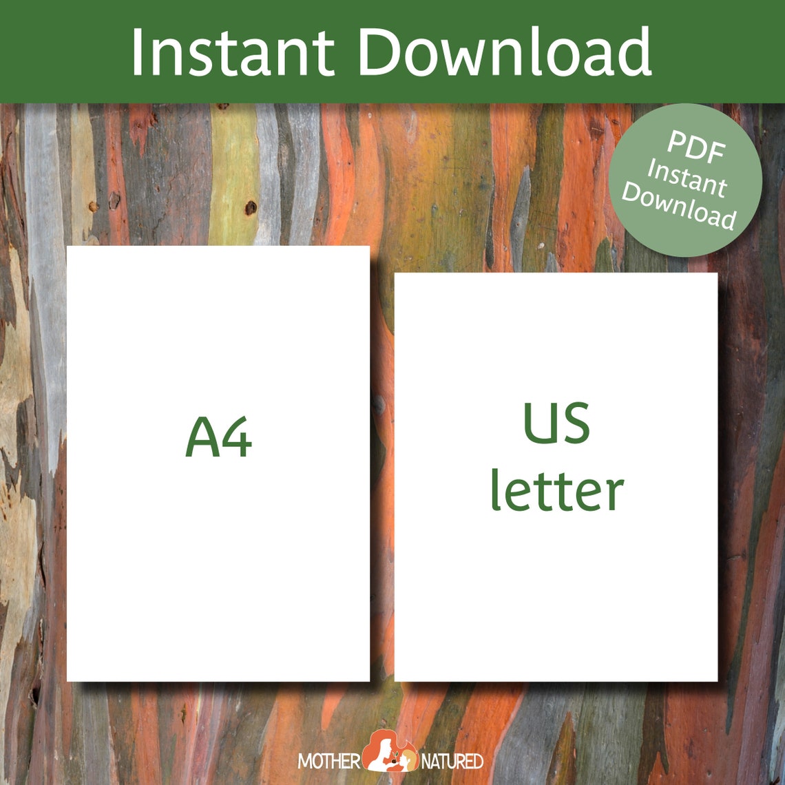 Tree Bark Matching Activity | Bark Activity | Tree Study Printable ...