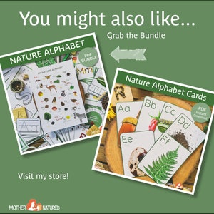 Nature Alphabet Poster | Animal Alphabet Poster | Nature Alphabet ...