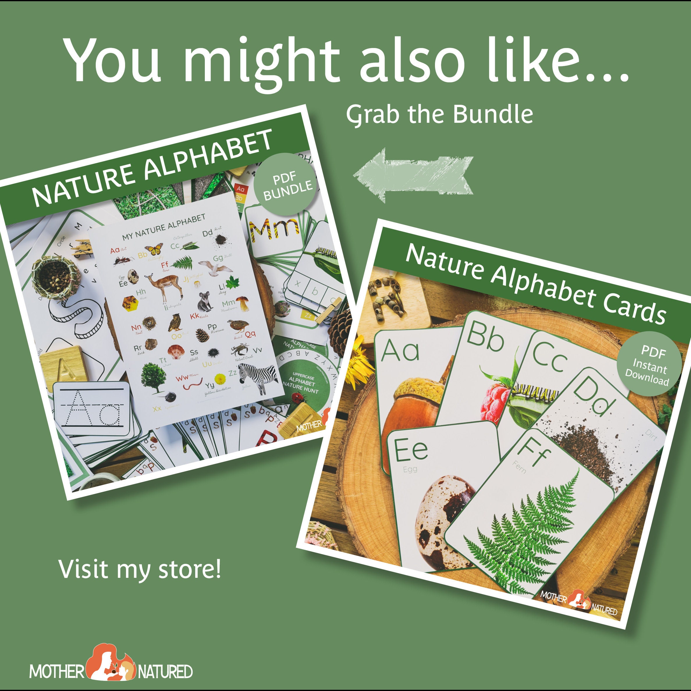 Nature Alphabet Poster | Animal Alphabet Poster | Nature Alphabet ...
