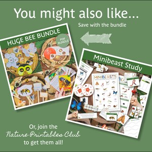 Honey Bee Activity Pack - Etsy