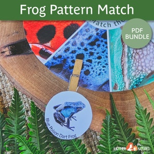 Frog Matching Activity Frog Game Pattern Activity - Etsy