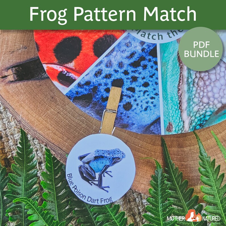 Frog Matching Activity Frog Game Pattern Activity - Etsy