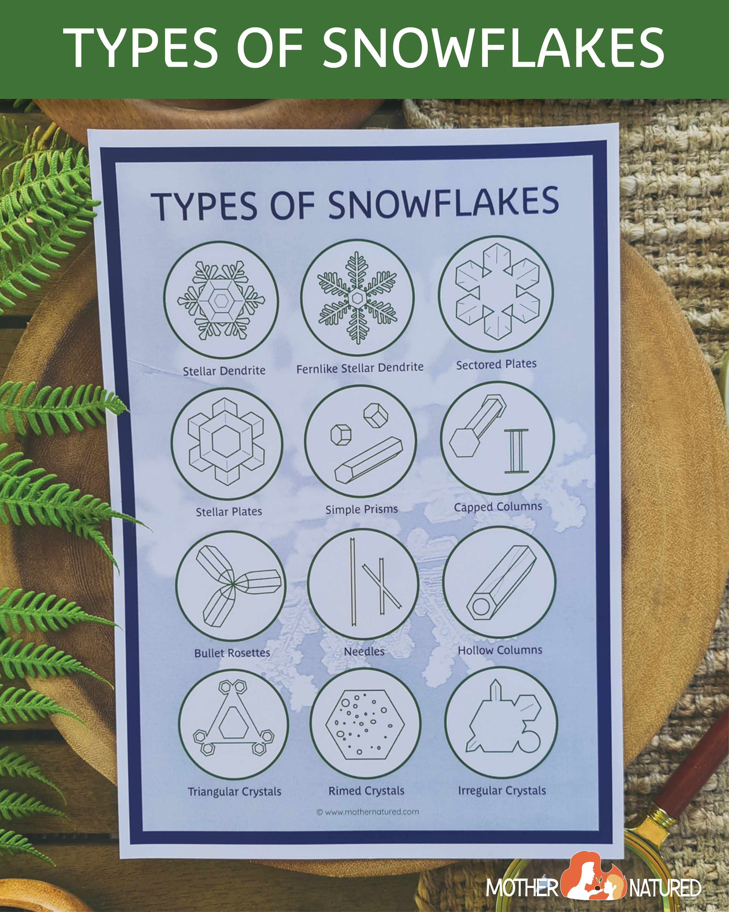 Types of Snowflakes Poster Snow Poster Snowflake Poster Winter Poster ...
