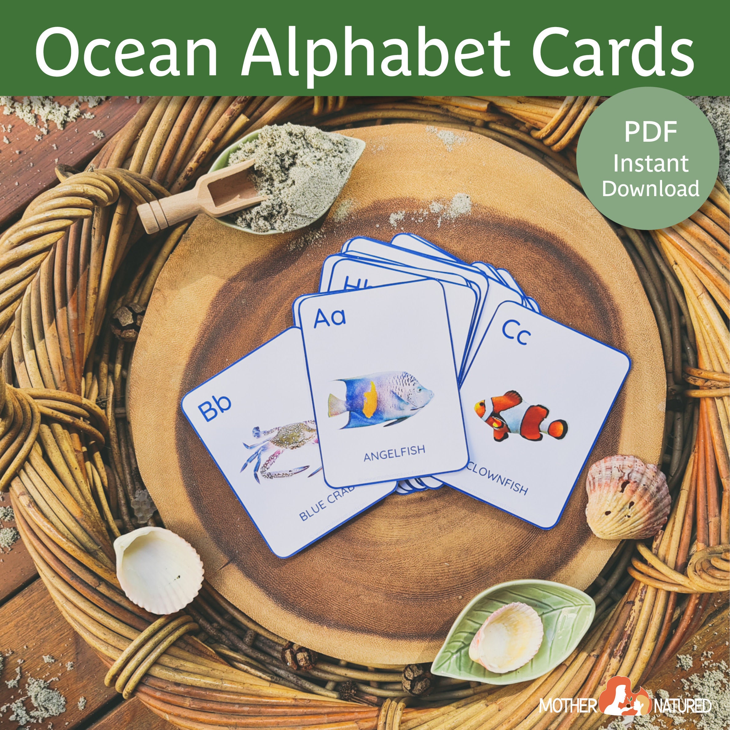 Ocean Alphabet Cards Alphabet Flash Cards Ocean Flash - Etsy
