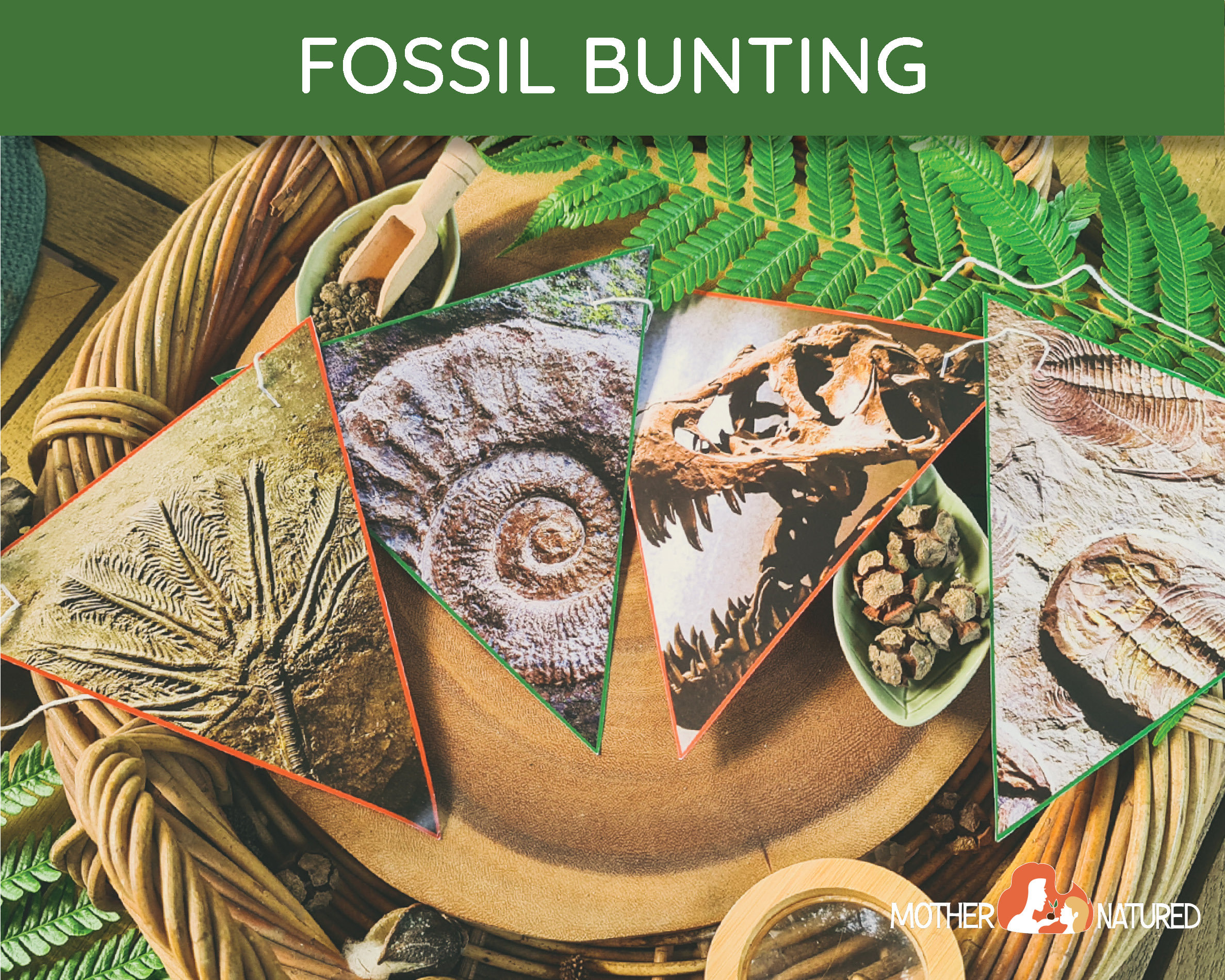 FOSSIL Garland | Fossil Bunting | Fossil Classroom Décor - Etsy UK