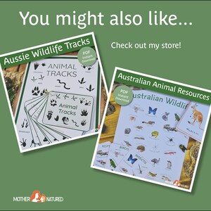 Australian Native Plant Identification Cards | Australian Flora ...
