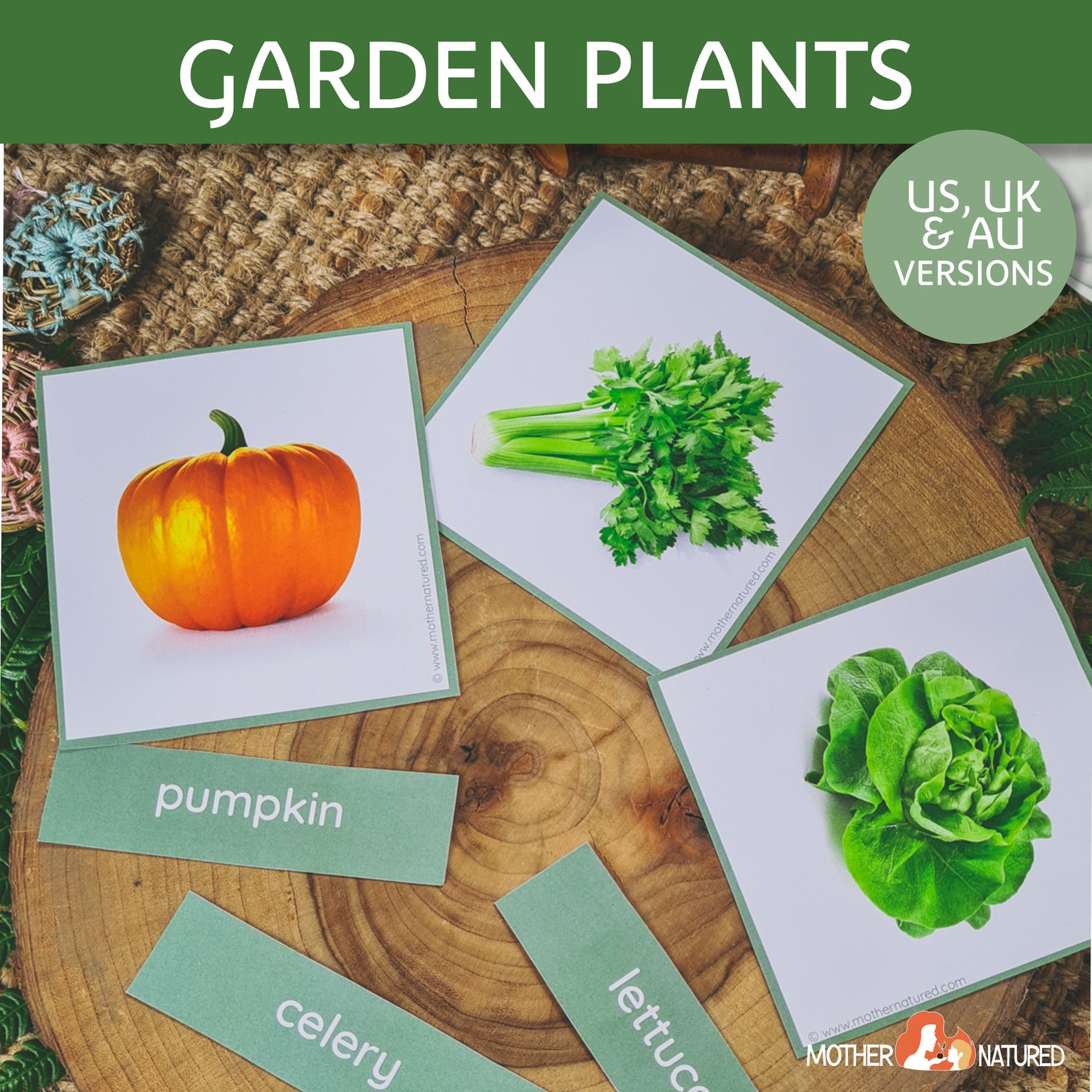Garden Plant Printables | Garden Vegetable Poster | Garden Plant Flash ...