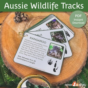 Australian Animal Tracks Guide | Animal Tracking for Kids | Australian ...