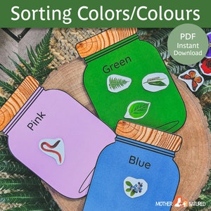 Sorting Color Activity | Sorting Colour Activity | Colour Recognition ...