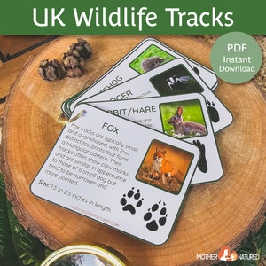 British Animal Tracks Guide | Animal Tracking for Kids | United Kingdom ...