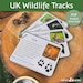 British Animal Tracks Guide Animal Tracking for Kids United Kingdom ...