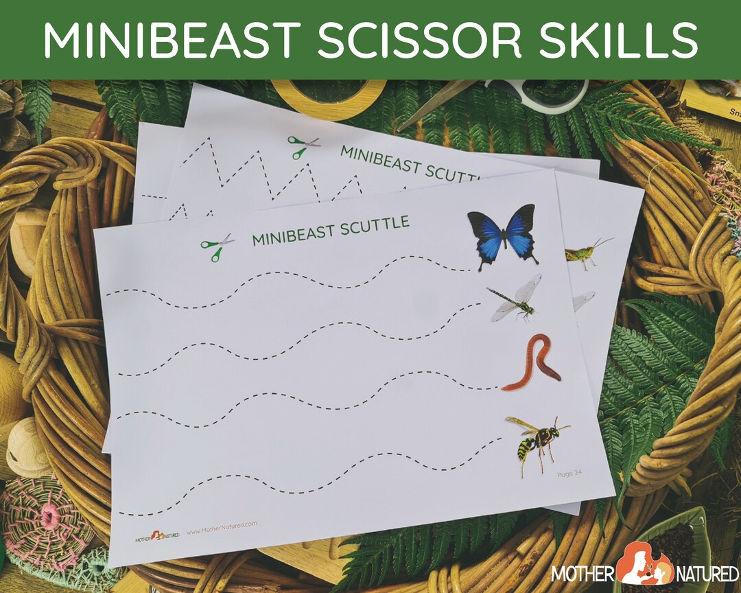 Minibeast Scissor Skills | Minibeast Scissor Activity | Minibeast ...