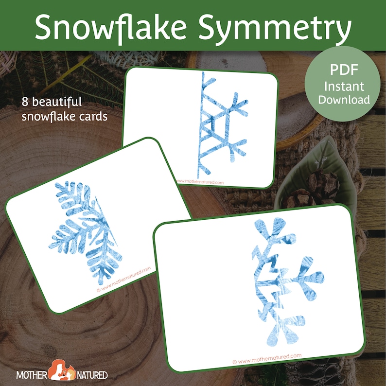 Snowflake Symmetry Activity Winter Symmetry Cards Snow - Etsy UK