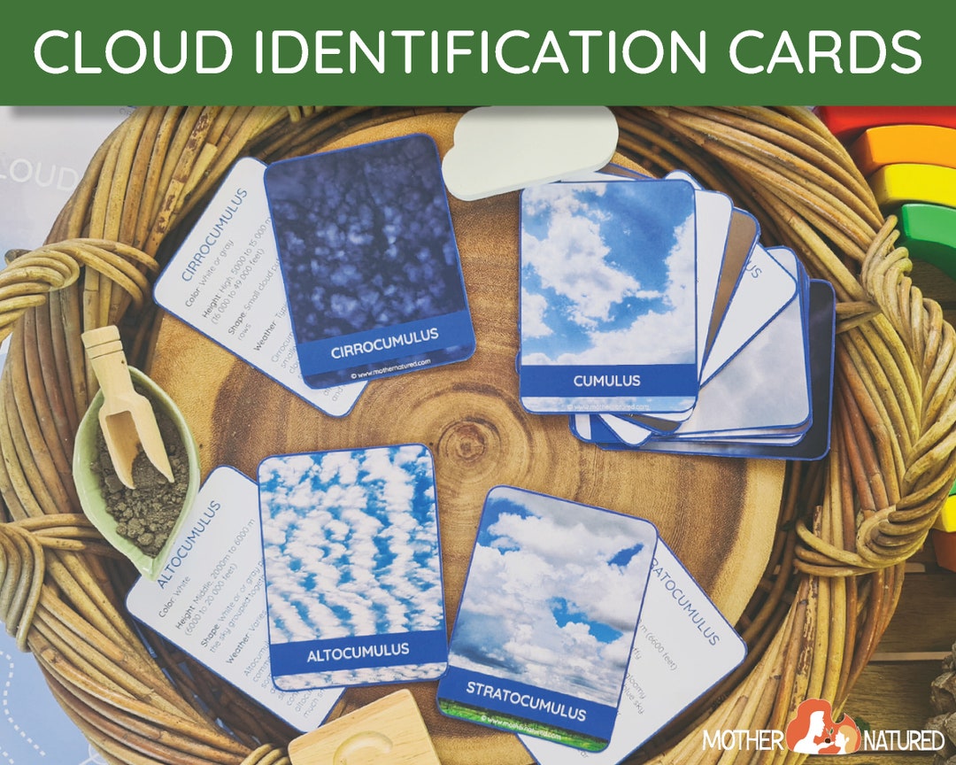 Cloud Identification Cards Types of Clouds Clouds - Etsy