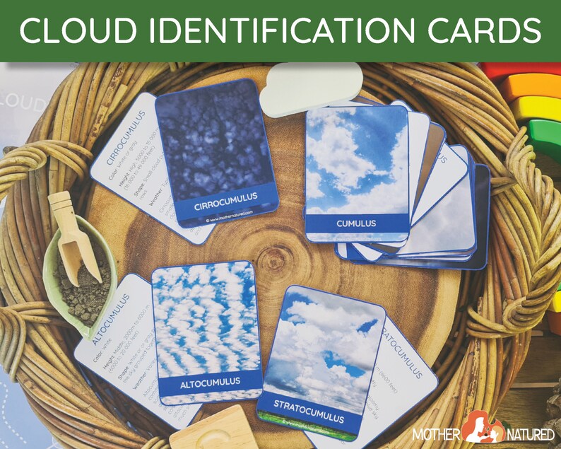 Cloud Identification Cards Types of Clouds Clouds - Etsy