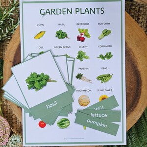 Garden Plant Printables | Garden Vegetable Poster | Garden Plant Flash ...