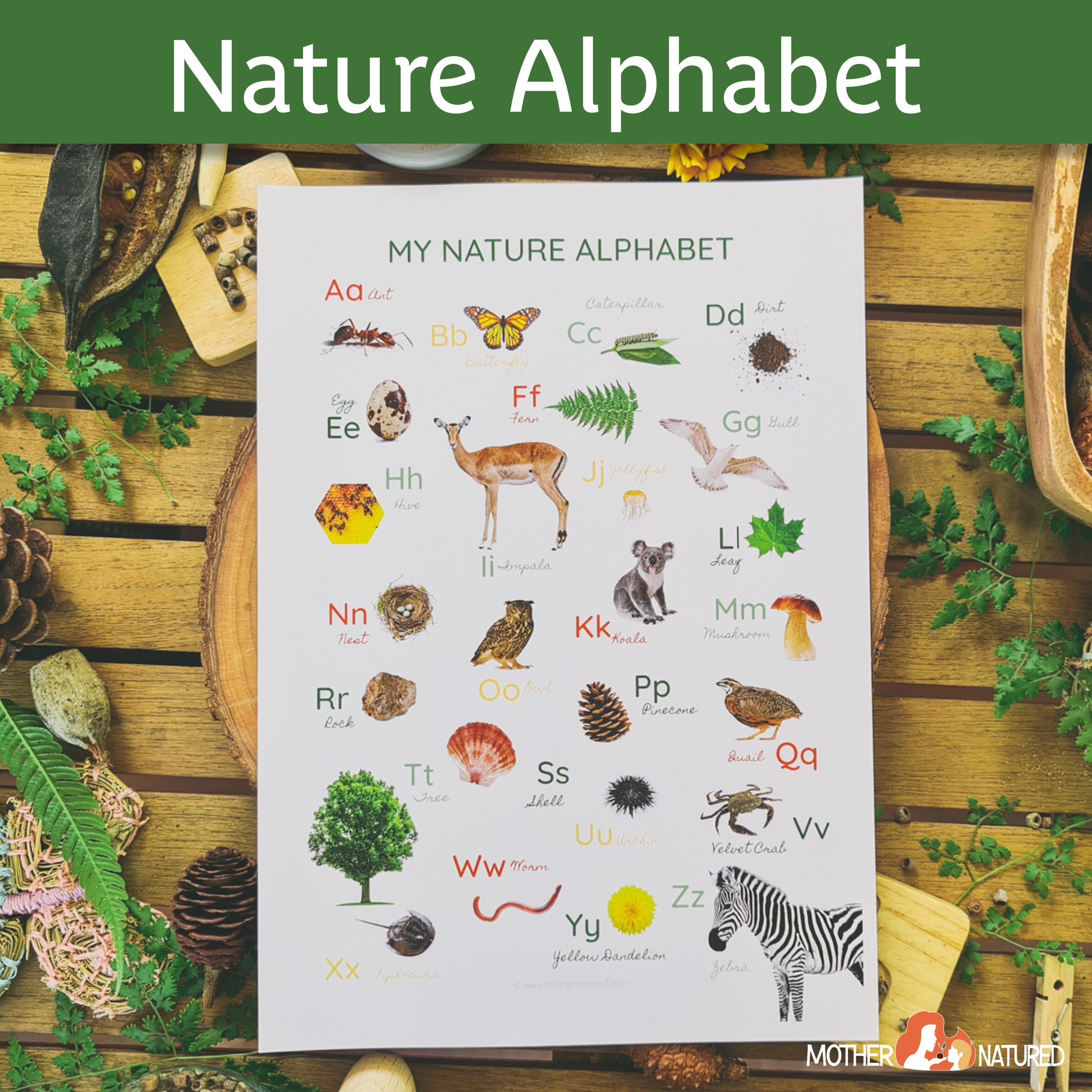 Nature Alphabet Poster Animal Alphabet Poster Nature - Etsy