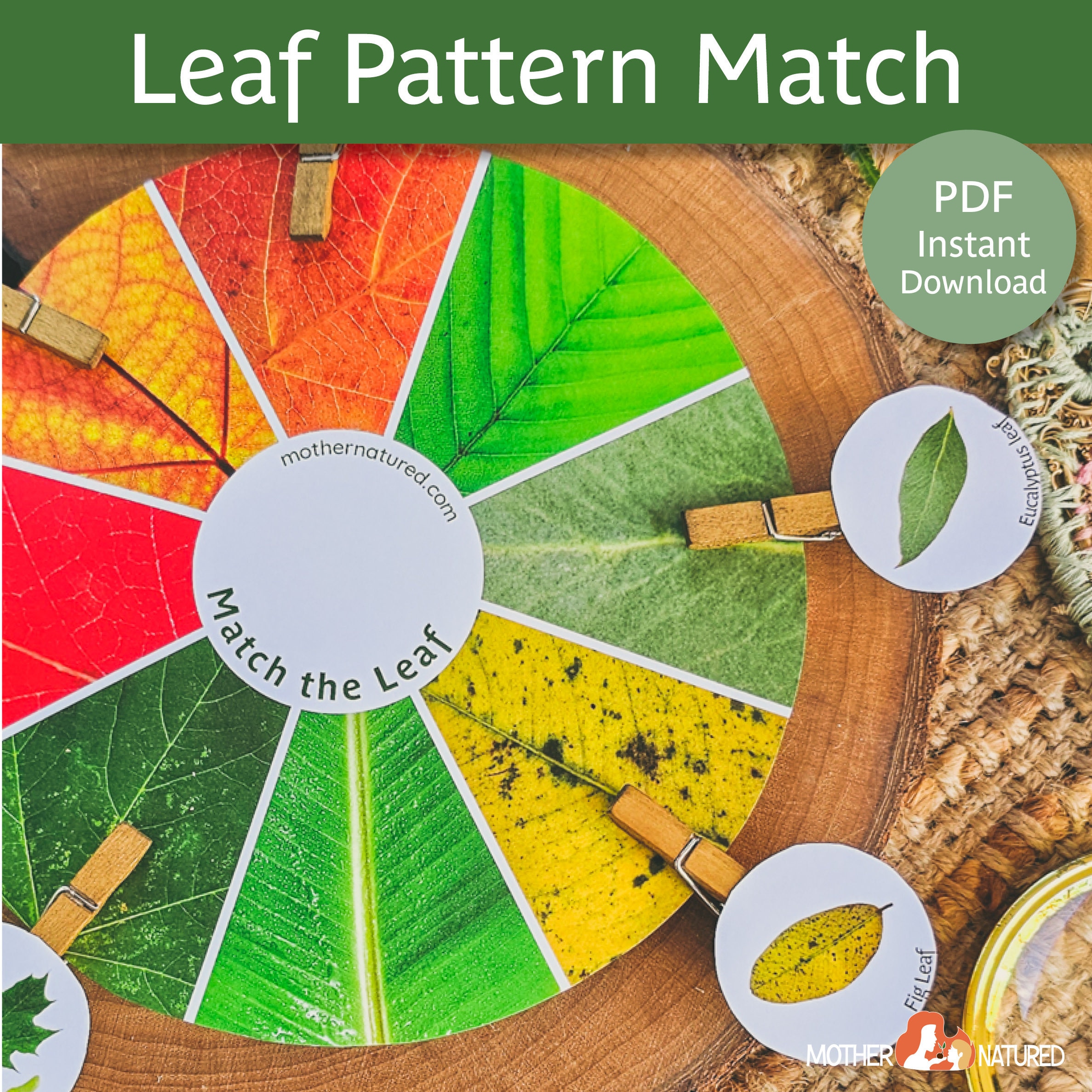 Leaf Matching Activity | Leaf Pattern Activity | Autumn Study Printable ...