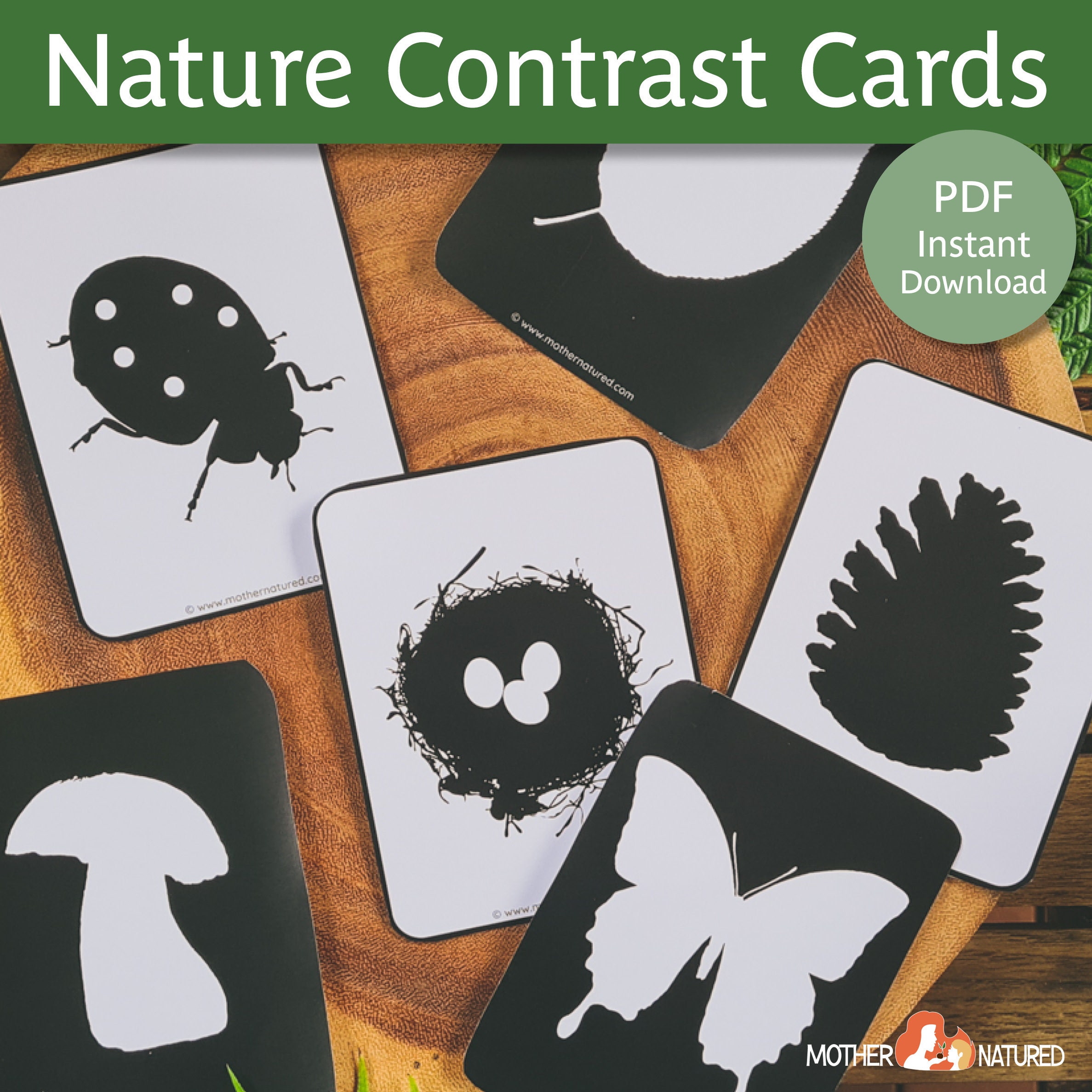 High Contrast Black and White Cards for Babies Nature Cards for Baby ...