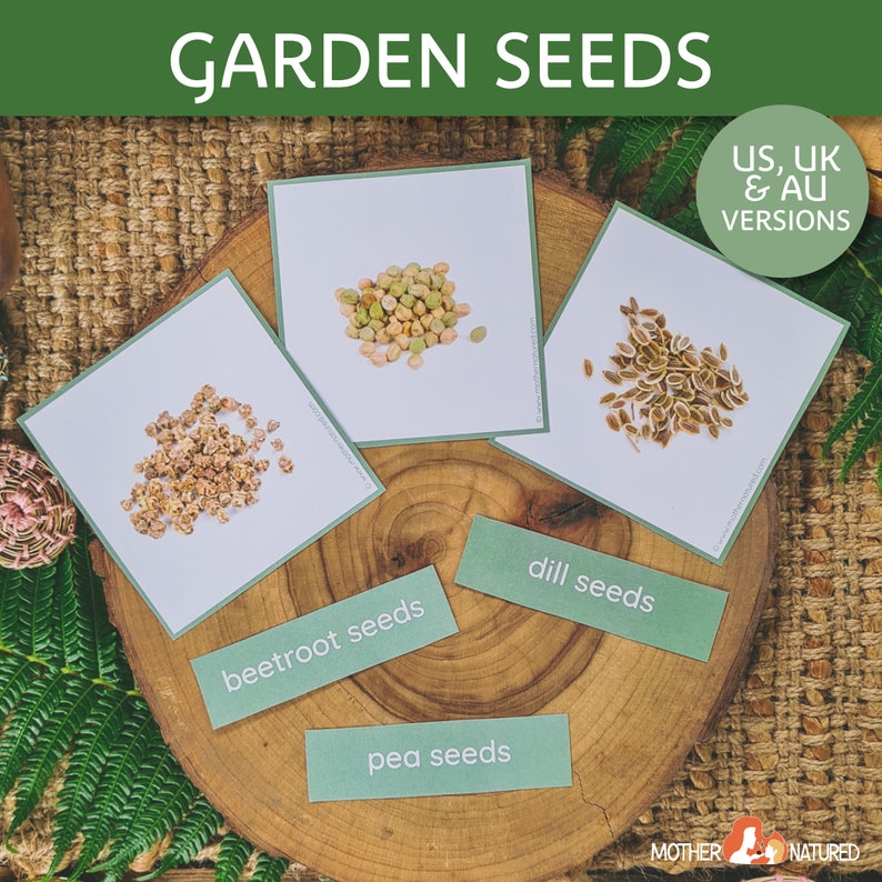 Garden Seed Printables Vegetable Seed Poster Garden Seed Flash Cards ...