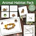 Nature Sound Walk Scavenger Hunt | Listening Printable | Mindfulness ...