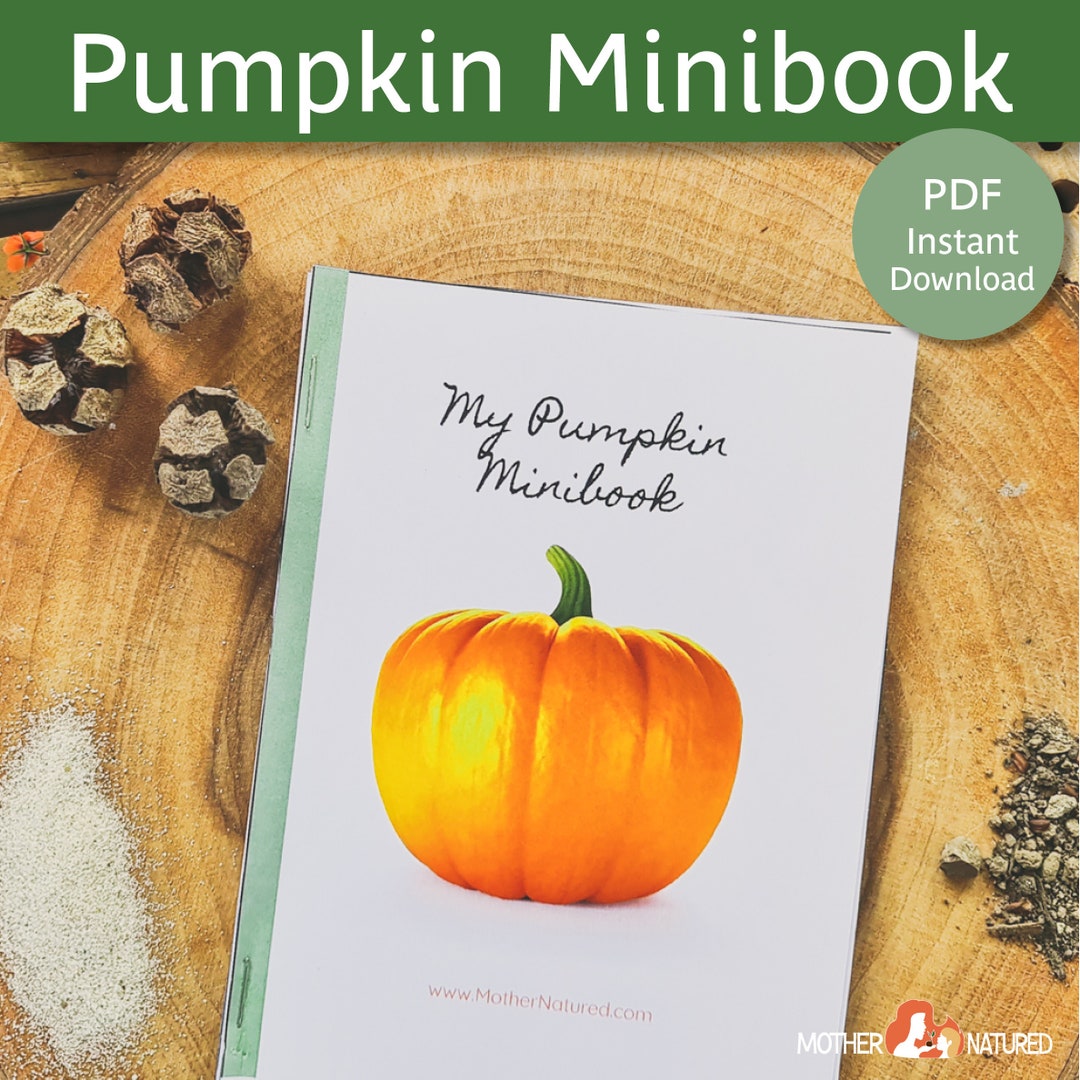 PUMPKIN Activity Book for Kids | Pumpkin Minibook | Pumpkin Study ...