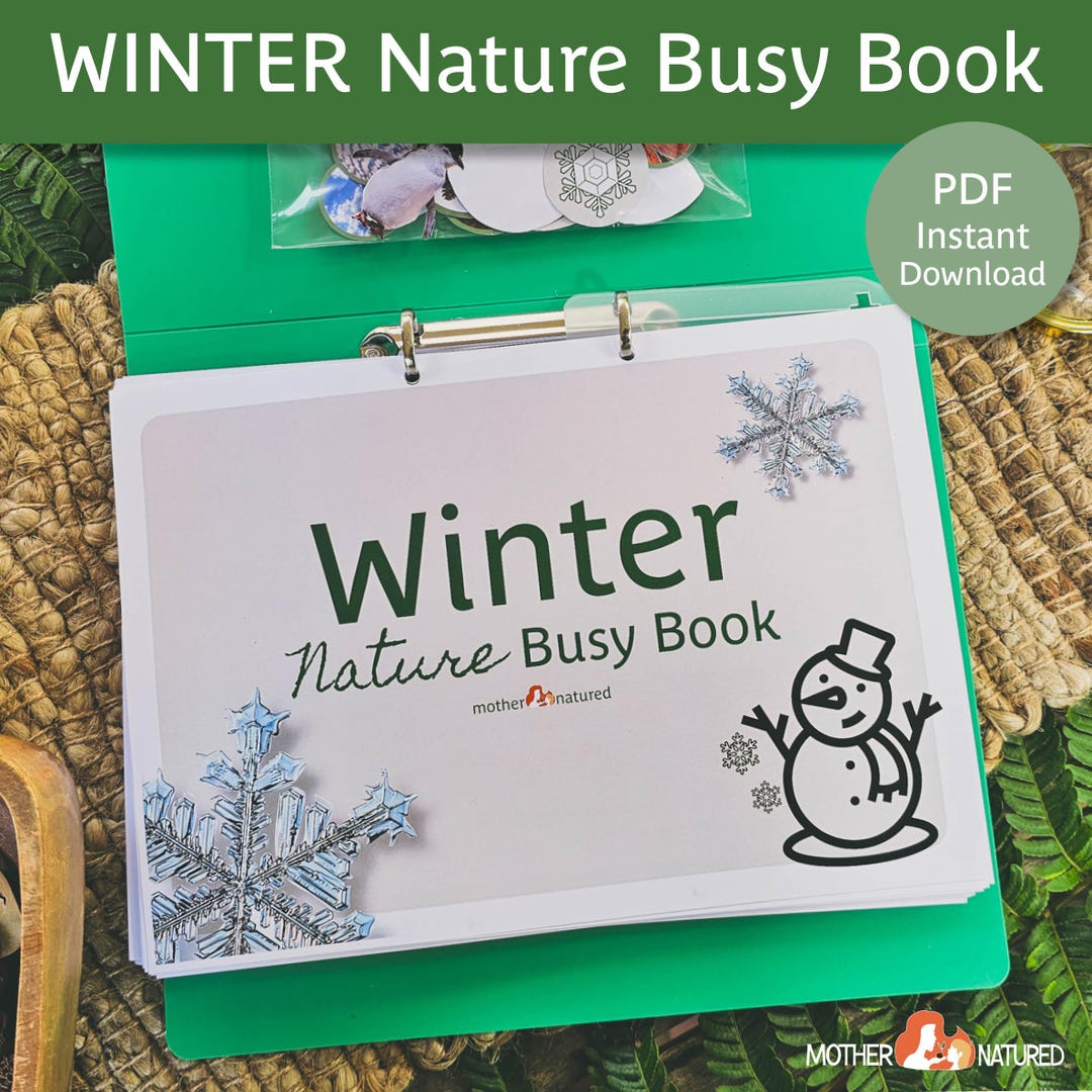 Winter Busy Book for Preschoolers | Winter Nature Busy Book | Winter ...
