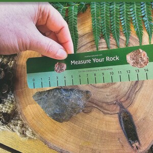 Measure Nature Rulers | Outdoor Play Printables | Nature Math | Nature ...