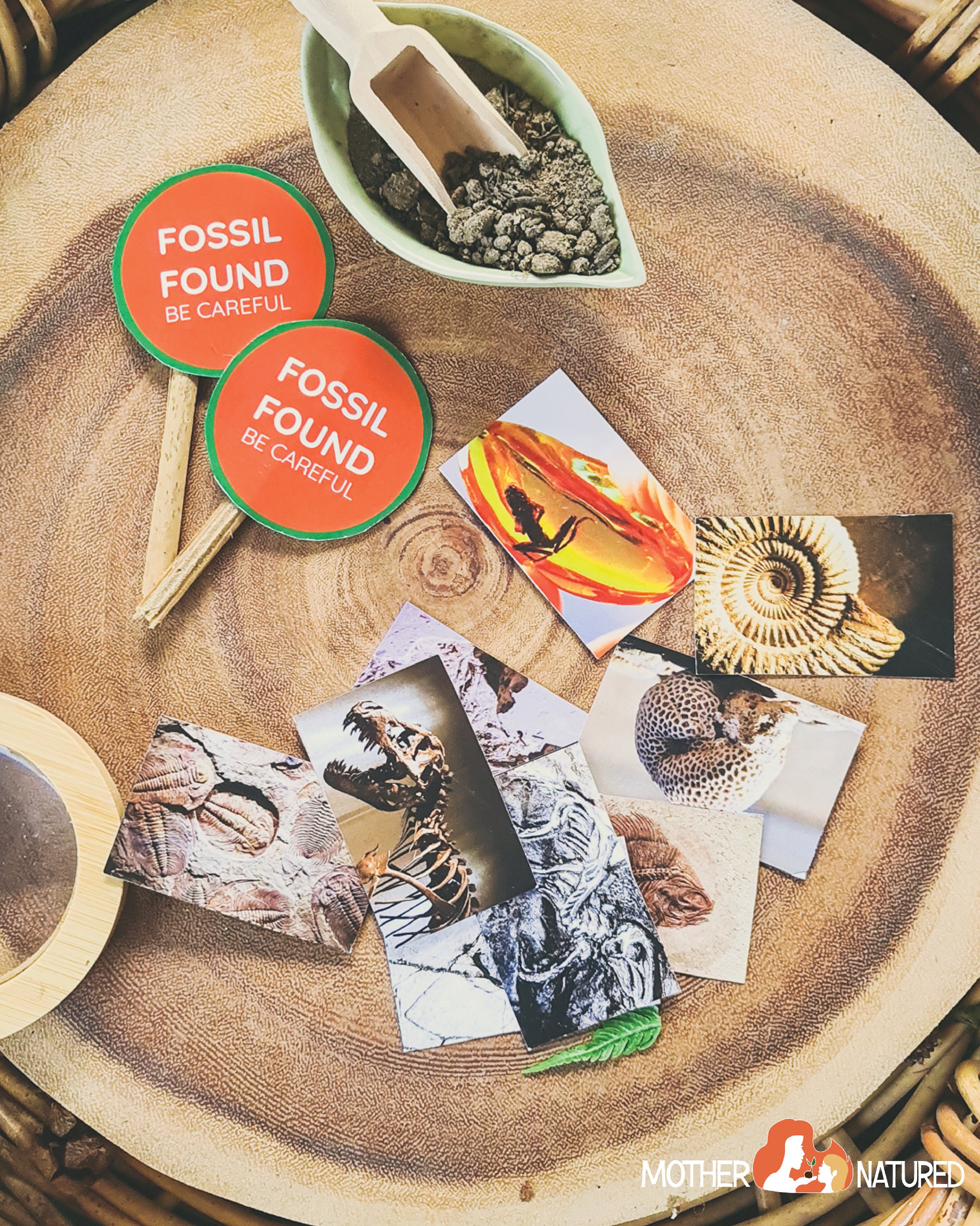 FOSSIL DIG GAME | Dig up Fossils Activity | Excavate Fossils - Etsy