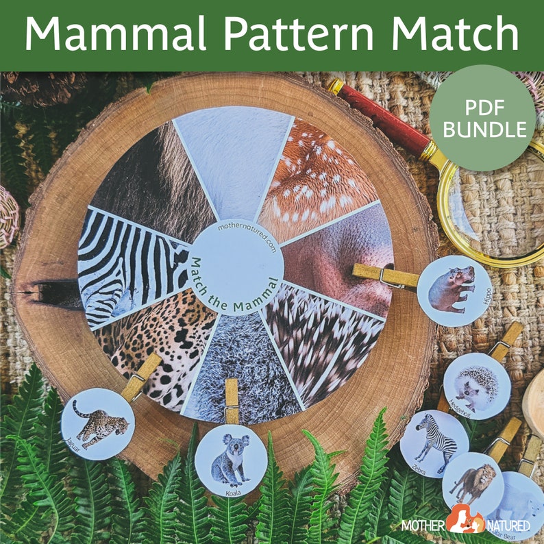 Mammal Matching Activity | Mammal Game | Pattern Activity | Preschool ...
