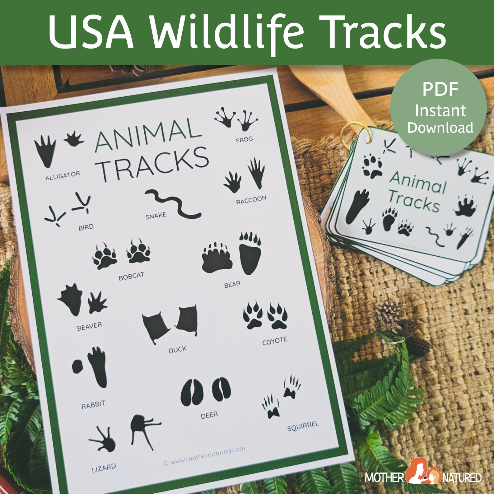 American Animal Tracks Guide Animal Tracking for Kids USA Animal ...