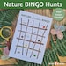Nature Bingo Activity | Nature Bingo Scavenger Hunt | Nature Bingo Hunt ...