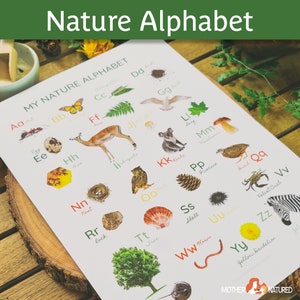 Nature Alphabet Poster | Animal Alphabet Poster | Nature Alphabet ...