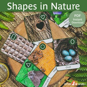 Nature Shapes Poster and Cards | Nature Shapes Preschool | Nature ...