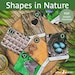 Nature Shapes Poster and Cards | Nature Shapes Preschool | Nature ...