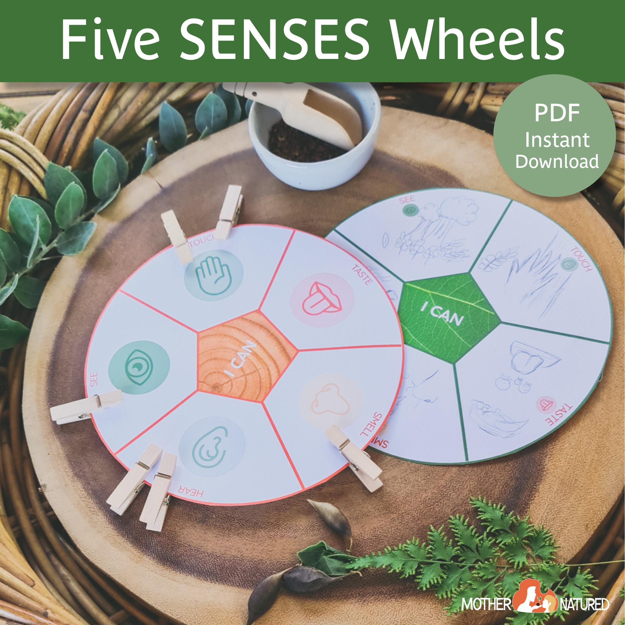 Five Senses Nature Wheel Nature Sensory Activity for Kids Outdoor Play ...