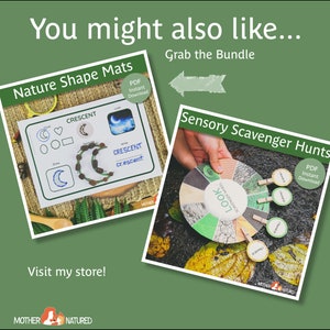 Five Senses Nature Wheel | Nature Sensory Activity for Kids | Outdoor ...