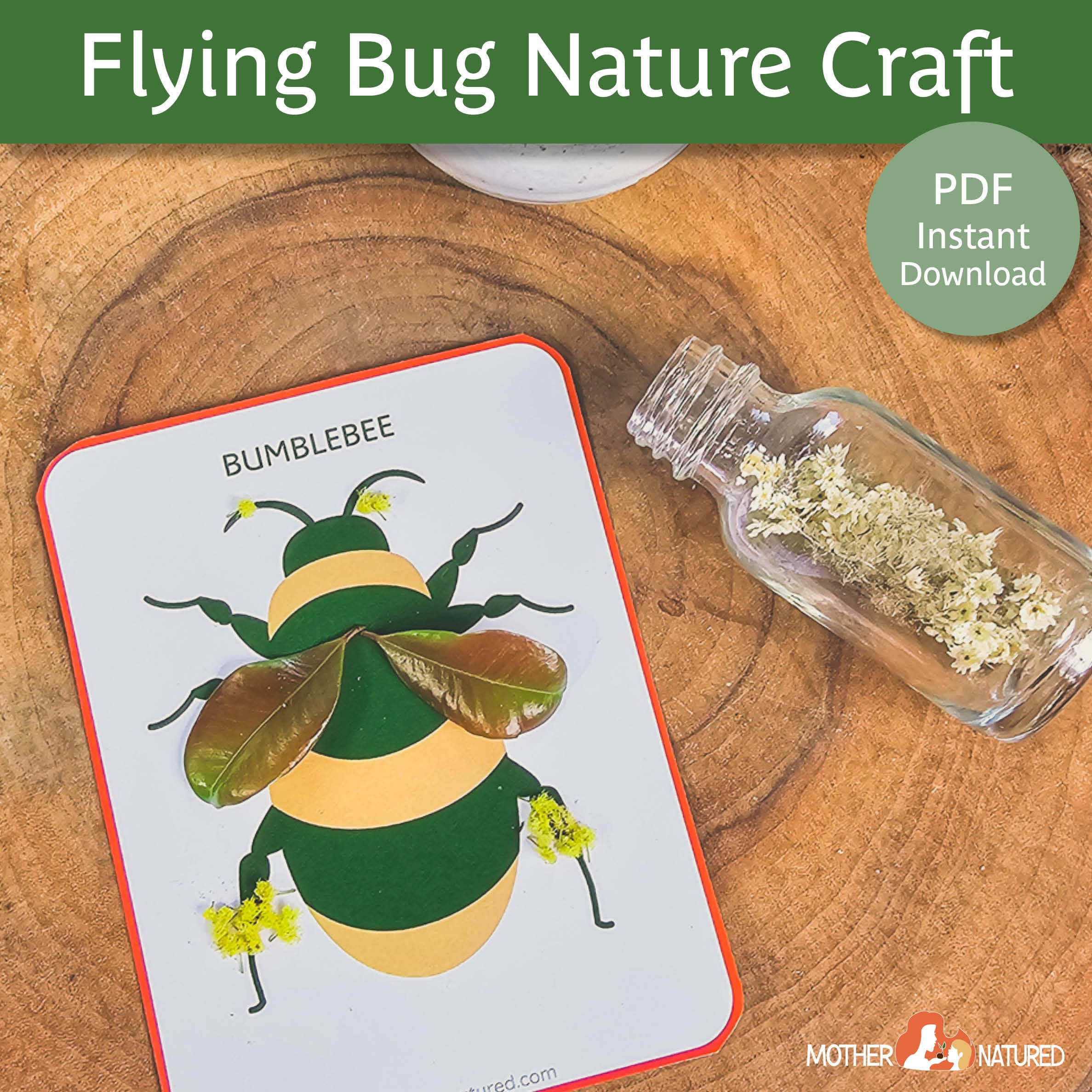 Insect Craft | Bug Nature Crafts | Bug Craft | Moth Craft | Insect Art ...