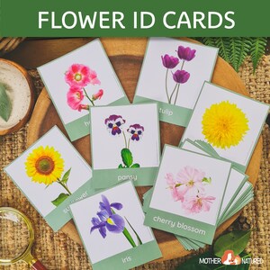 Flower Identification Cards | Flower Cards | Flower Study | Flower ...