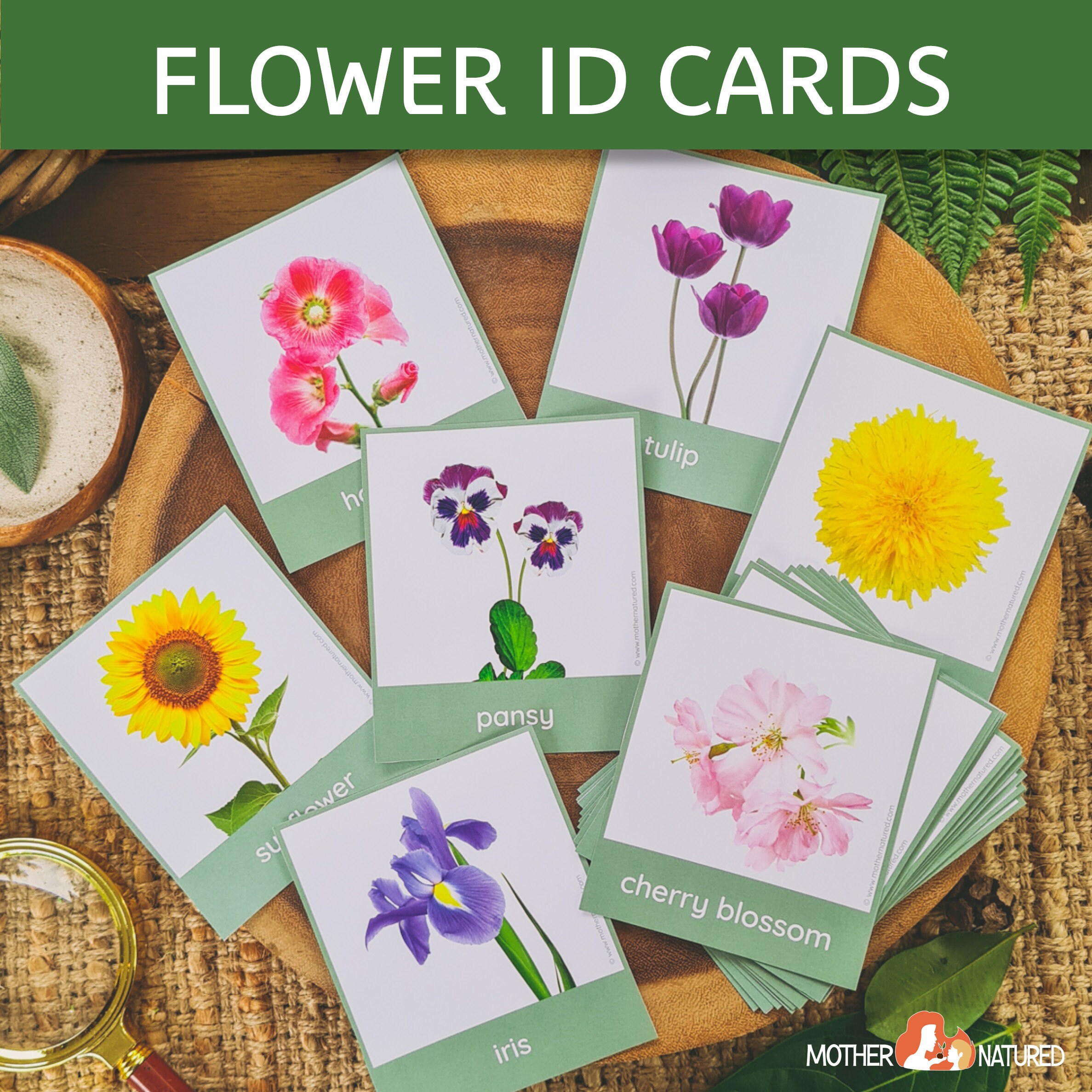 Flower Identification Cards Flower Cards Flower Study Flower Activity ...