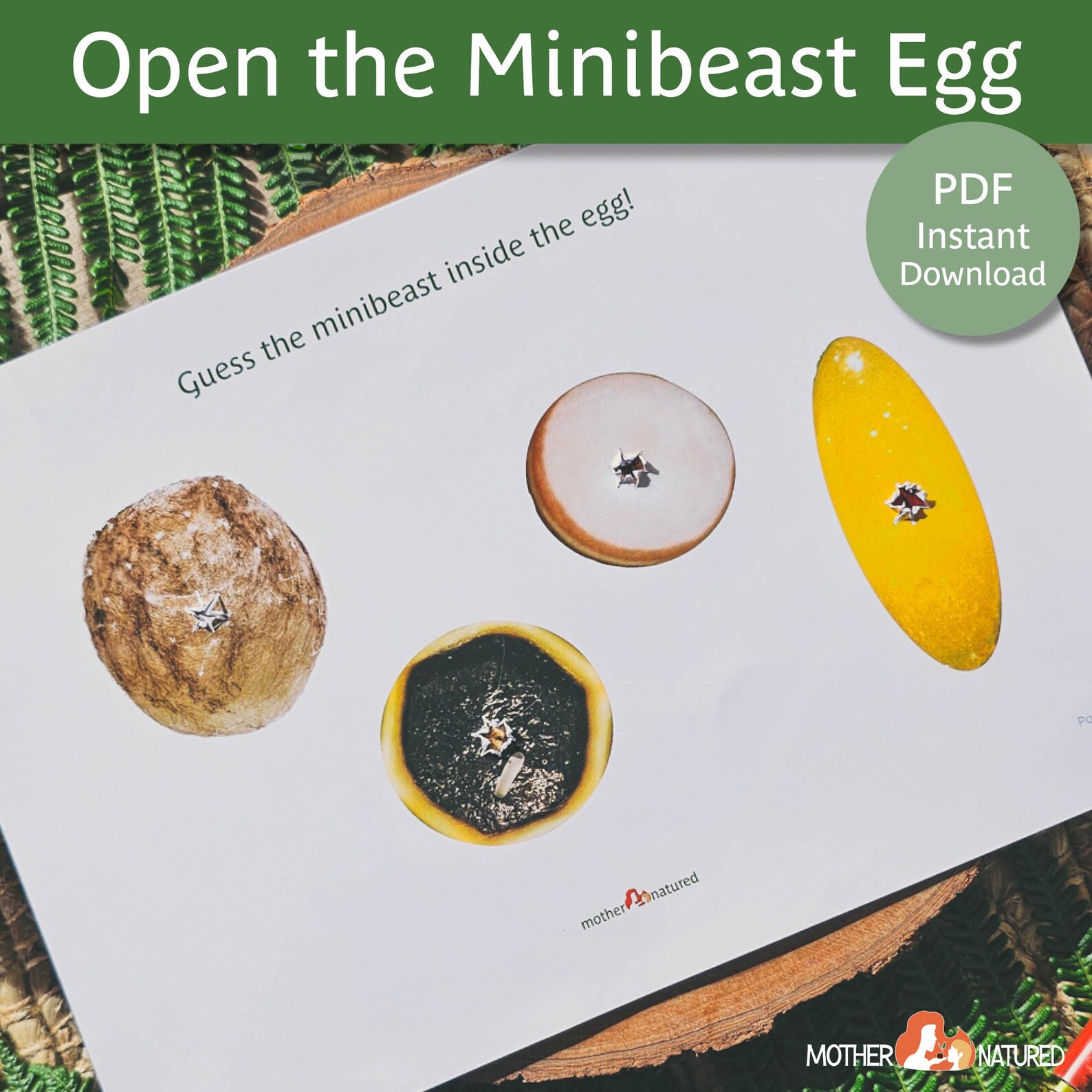 Minibeast Egg Surprise Game | Insect Egg Activity | Insect Easter Egg ...
